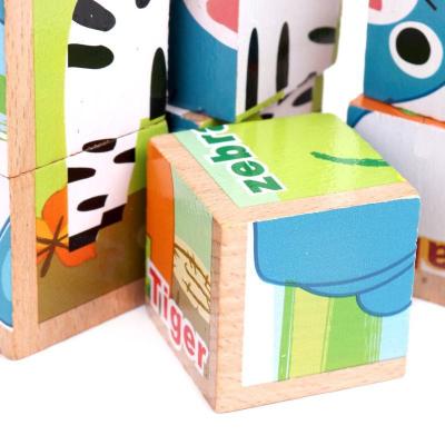 Cina cubi a sei facce educativi delle particelle elementari di legno 3D per i bambini in vendita
