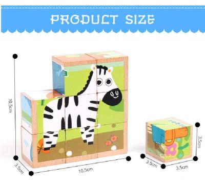 Cina cubi a sei facce educativi delle particelle elementari di legno 3D per i bambini in vendita