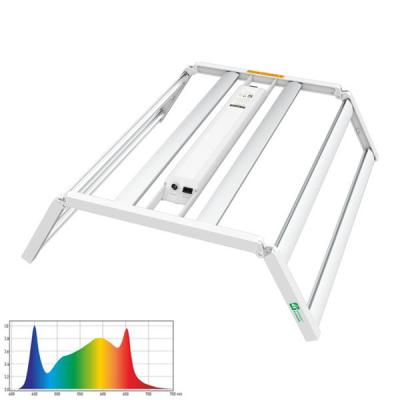 Cina 780W luci progressive complete di spettro LED le luci idroponiche dell'interno da 120 gradi in vendita