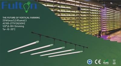 Cina Luce progressiva dell'interno impermeabile di T8P LED con lo spettro su ordinazione in vendita