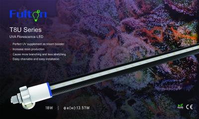 Cina L'acqua rinforza il supplemento UV Daisy Chainable della luce progressiva della metropolitana di T8U LED in vendita