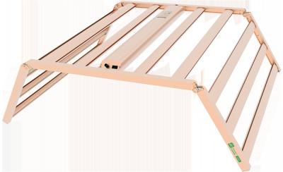 Cina Spettro UV efficiente di SP1 SP2 SP3 della luce di crescita di Champagne Gold EAGLE LED alto in vendita
