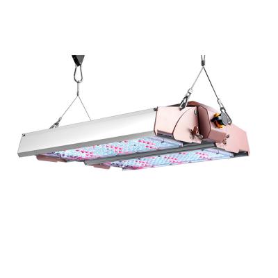 Cina Luci progressive complete di spettro LED di Dimmable per i fiori di verdure AC277V della serra in vendita