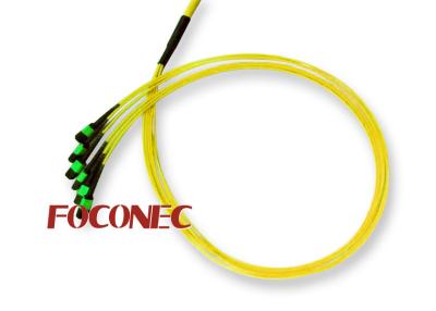 Cina Cavo di toppa a fibra ottica del tronco monomodale MPO/di MTP per il centro dati, cablaggio della spina dorsale in vendita