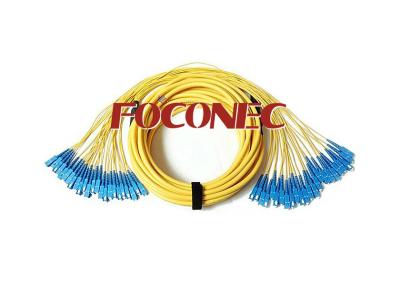 Cina Cavo con lo sblocco di 2.0mm, cavo della toppa della fibra del tronco del centro dello Sc 24 della toppa di distribuzione in vendita