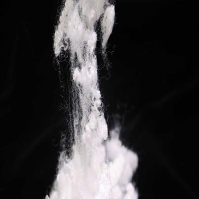 China Conjugated Polyester Short Cut Fiber 64mm Matrix Stability Solid Fibre for sale