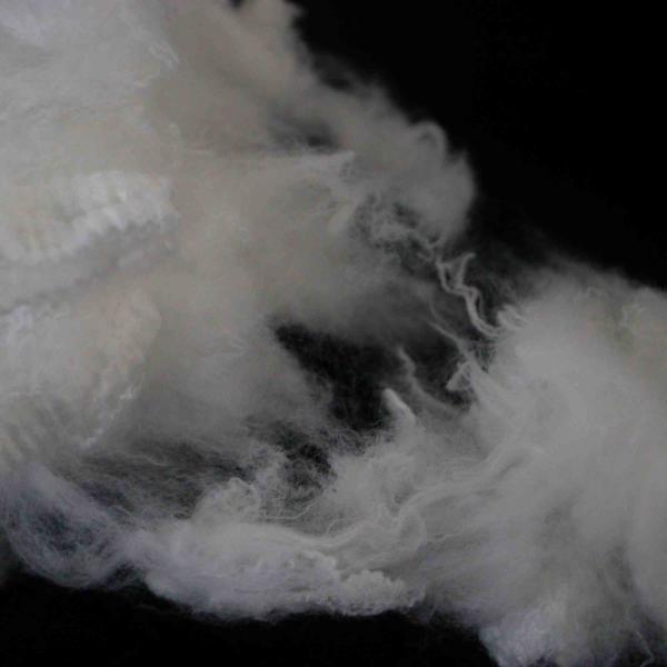 Quality Low Crimp Silicone Free Short Staple Fiber 2.5D For Hot Air Non Woven Fabric for sale