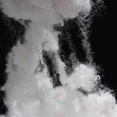 Cina Fibra di poliestere a base di PET rigenerata 32 mm Fibra di poliestere coniugata siliconizzata in vendita