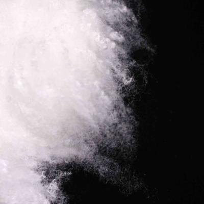 Cina Fibre in poliestere vergine non siliconizzate 51 mm microfibre per riempimento in vendita