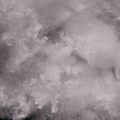 Cina Fibre in poliestere vergine non siliconizzate 51 mm microfibre per riempimento in vendita