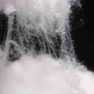 Chine A1 Rétracteur de flamme blanc de polyester renouvelé à vendre