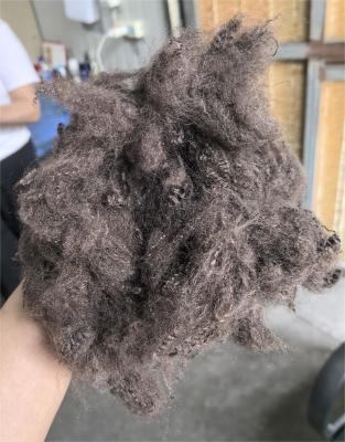 China Recycled Polyester Staple Fiber 6D 64mm Dark Coffee Brown for sale