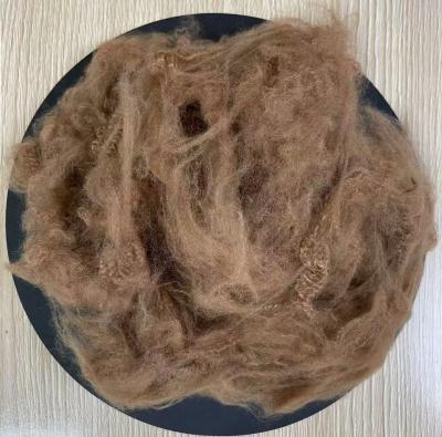 Cina Fibra di poliestere riciclata 2.5D 51mm Caffè in vendita