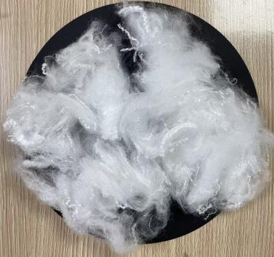 Cina Fibra di polipropilene fiocco tinta AA Grade 2.2D 40mm Bianco in vendita