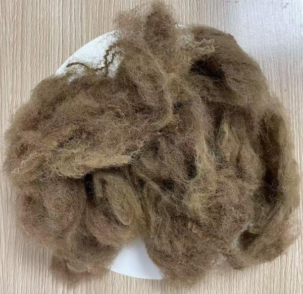Quality Low Elongation Recycled Polyester Staple Fiber 25D 65mm Deep Camel Color for sale