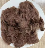 Quality Recycled Polyester Staple Fiber 2.5D 51mm Coffee Color for sale