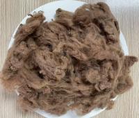 Quality Recycled Polyester Staple Fiber 2.5D 51mm Yellow Coffee High Wrinkle Resistance for sale