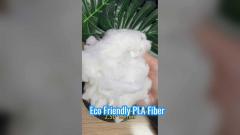 Virgin polyester fiber 2.5D*38mm