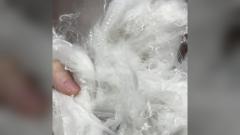Grade 1 Virgin PET Staple Fiber 1.4D 38MM, Even Fineness Clean Raw Polyester Fiber for Carding Spinn