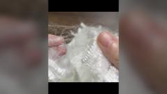 Garment Interlining Reinforced Bond Fiber