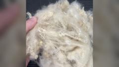 4D×51mm Eco-Friendly Recycled Low Melt Fiber off white  Good Bonding for Textile Production