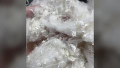 1.6D*38MM Room Temperature Dyeable Cationic Polyester Staple Fiber