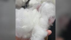 F800 Flame Retardant Polyester Staple Fiber