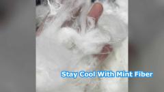 1.4Denier 38mm Mint Infused Cool Touch Staple Fiber, Heat Dissipation Anti-Sticky Knitting Raw Mater