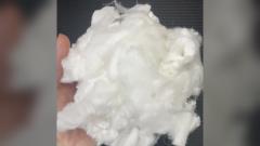 Regenerated virgin latex cotton fiber