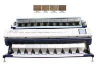 China High Luminance Wheat Color Sorter Machine 10 Chute 220V 50Hz High Accuracy for sale
