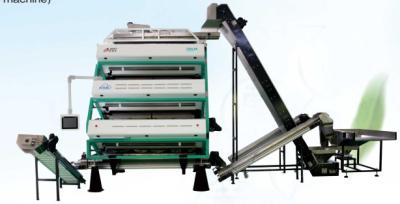 Cina Macchina verticale del selezionatore di colore del tè, attrezzatura di separazione ottica avanzata in vendita
