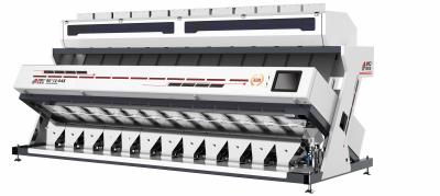 Cina Ai Smart Sorting 99.95% CCD Rice Color Sorter in vendita