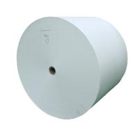 Quality PE Coated Raw Material Food Packing White Cup Fan Color Paper Pe Coated Paper for sale