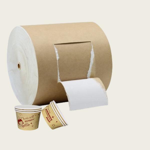 Quality Clearance Sale Coated Kraft Back Board(CKB) Large Quantity Discount for sale