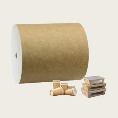 China Clearance Sale Factory Customized Lunch Box Frozen Packaging One Side Coated White and One Side Brown Paper for sale