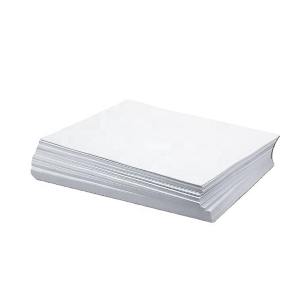 Quality Paper in Roll Sheet High Bulk PE Coated Paper in Sheet for sale