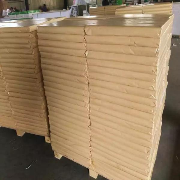 Quality EU PE Coated Plain Paper in Sheets for Book Production for sale