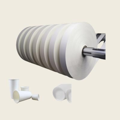 China Factory First Hand Price for Paper Cup PE Coated Paper Roll Cup Bottom Roll for Coffee Paper Cup for sale