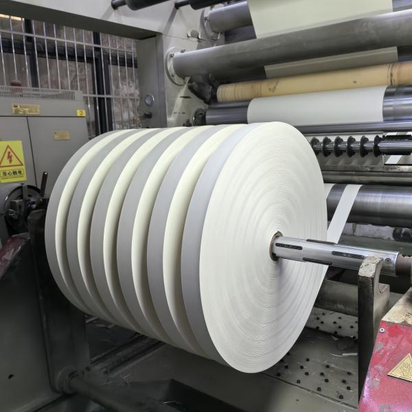 Quality Double PE Paper Cup Bottom Roll Disposable for Cold Drinking for sale