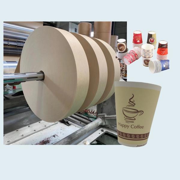 Quality Double PE Paper Cup Bottom Roll Disposable for Cold Drinking Free Design for sale