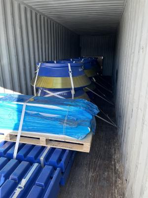 Cina Placca fissa per la frantumazione della mascella di acciaio ad alto manganese per C96 C100 in colori accattivanti in vendita