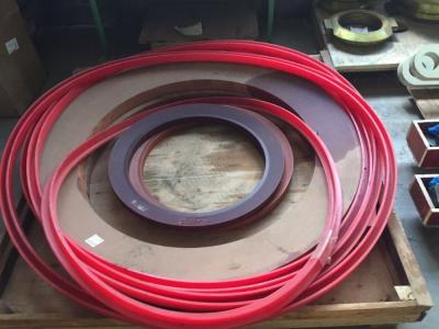 Cina Distribuzione in tutto il mondo Ricambi U Seal per HP100 HP200 HP300 Conoscrusher in vendita