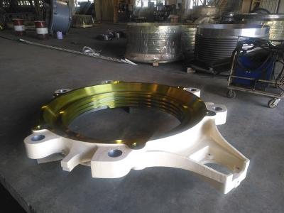 Cina Parti di ricambio per il trituratore a cono di pietra in vendita