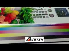 Pana 6 Feet Large Format Printer , 2880 Dpi Flex Banner Printer