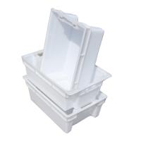 China Nestable Stackable Plastic Fruit Crates HDPE 600x400x200mm Mesh Design for sale