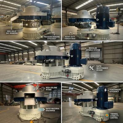 China Double Layer Vertical Ring Die Wood Pellet Machine Dual Compression Zone Technology Maximum Throughput Pellet Density for sale