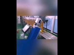 Expiry Date Coding CO2 Laser Marking Machine PET Bottle Production OEM ODM