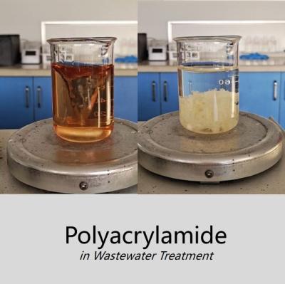 China 100% Purity Cationic Polyelectrolyte Water Treatment Chemicals Polyacrylamide for sale