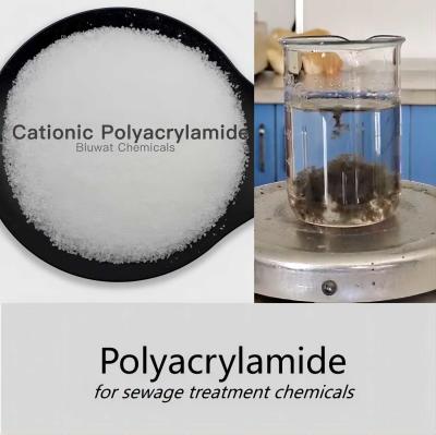 China Chemicals Cationic Polyelectrolyte Flocculants Sludge Dewatering Sewage Treatment for sale