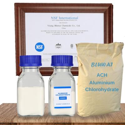 China NSF certified Drinking Water Treatment Water Purifying Chemicals Coagulant ACH Aluminium Chlorohydrate Powder for sale